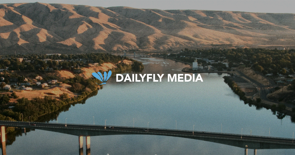 Dailyfly Media - A Media & Design Group